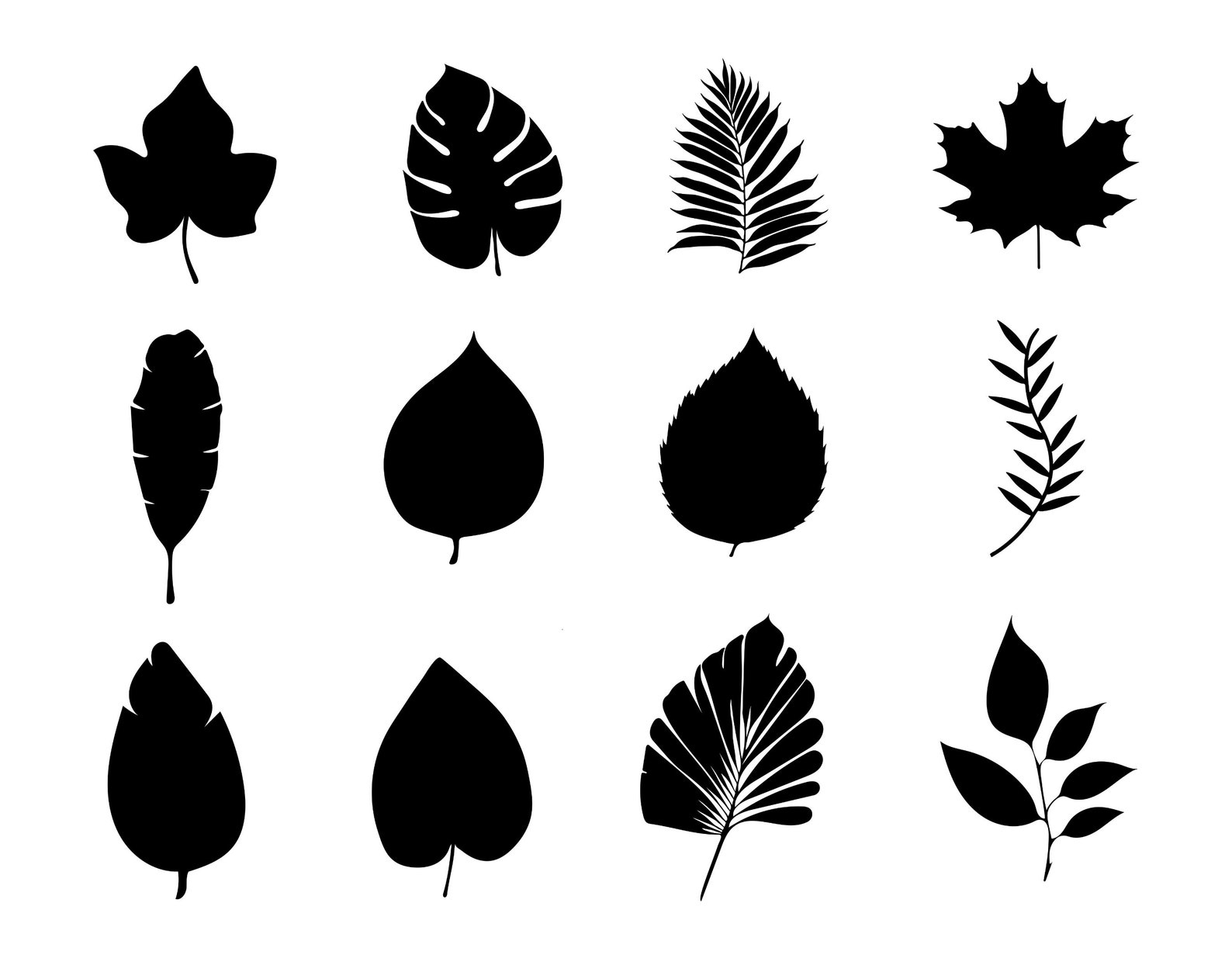 Leaves Svg Bundle, Leaves Cut File for Cricut, Leaves Clipart, Leaf Svg ...