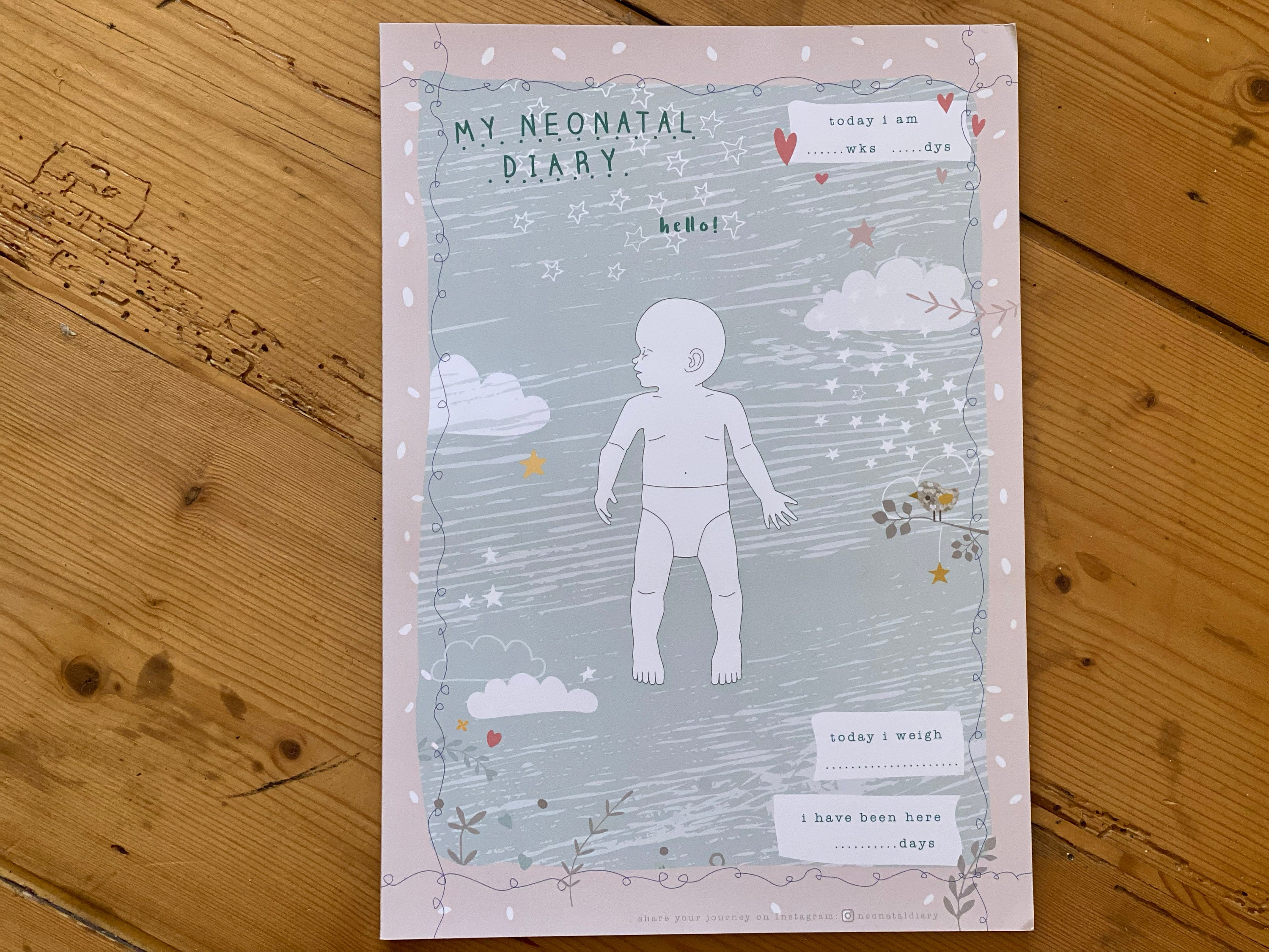 My Neonatal Diary is a Visual Template to Help Track Babies' Care (and ...