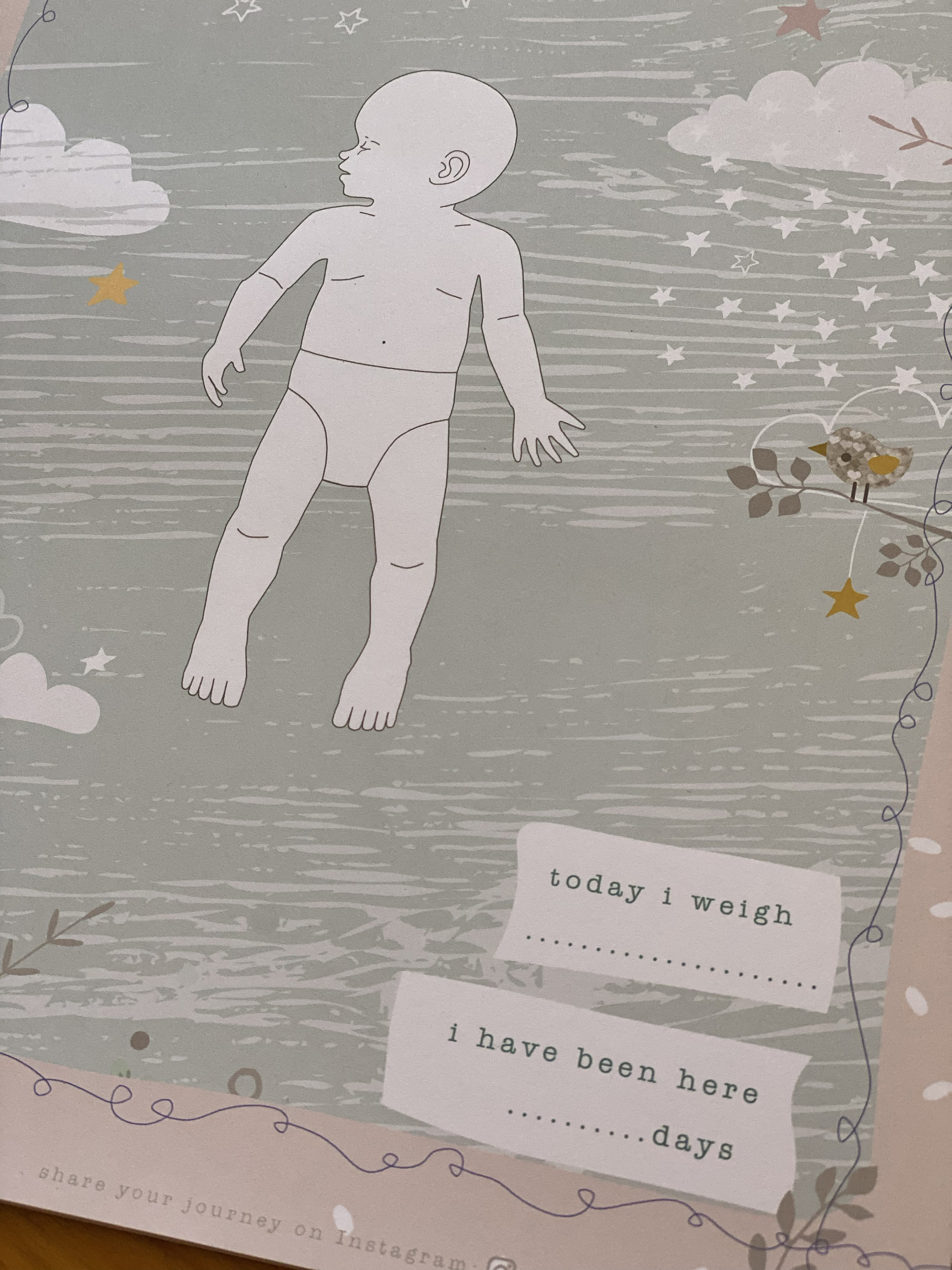 My Neonatal Diary is a Visual Template to Help Track Babies' Care (and ...