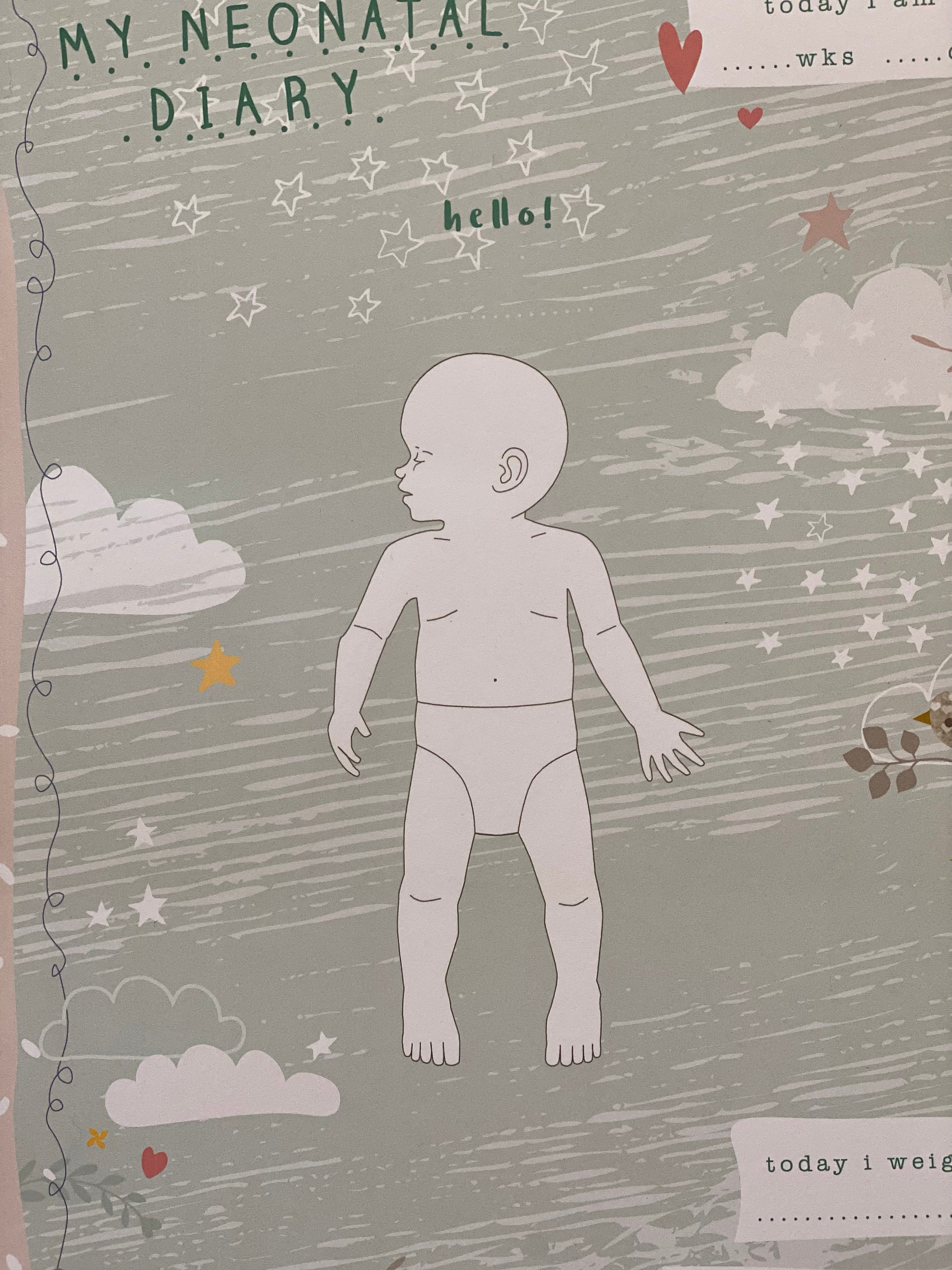 My Neonatal Diary is a Visual Template to Help Track Babies' Care (and ...