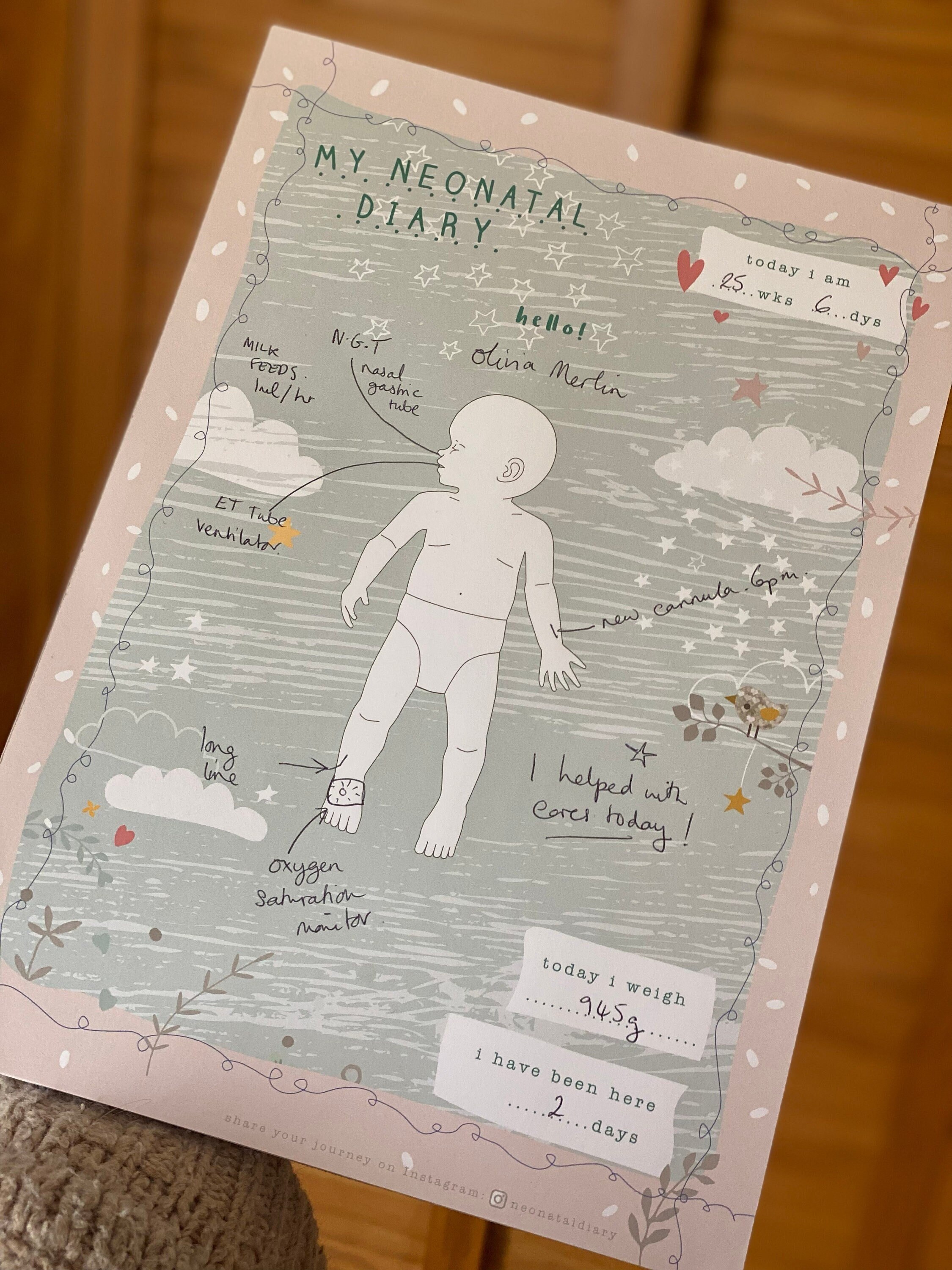 My Neonatal Diary is a Visual Template to Help Track Babies' Care (and ...