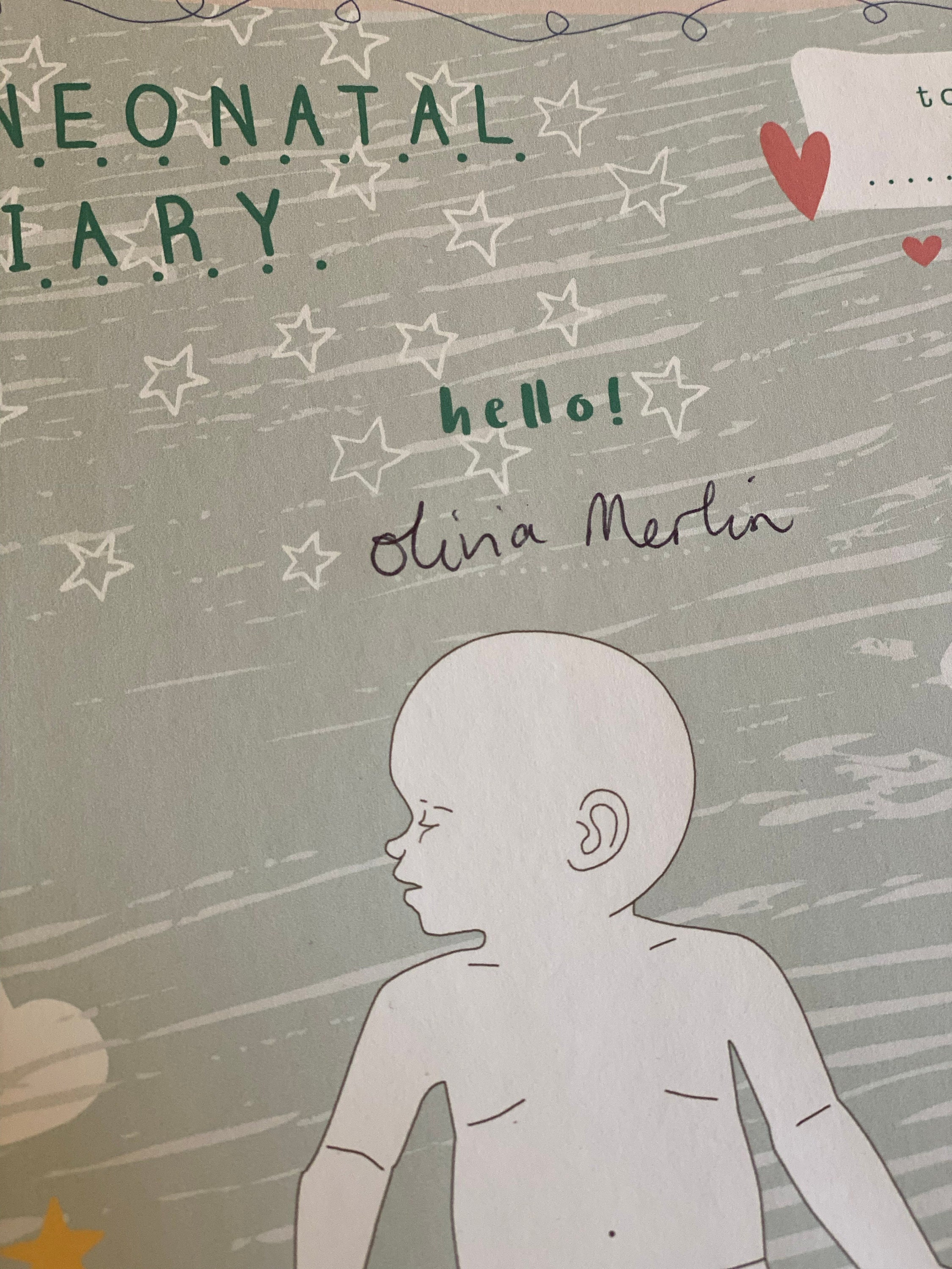 My Neonatal Diary is a Visual Template to Help Track Babies' Care (and ...
