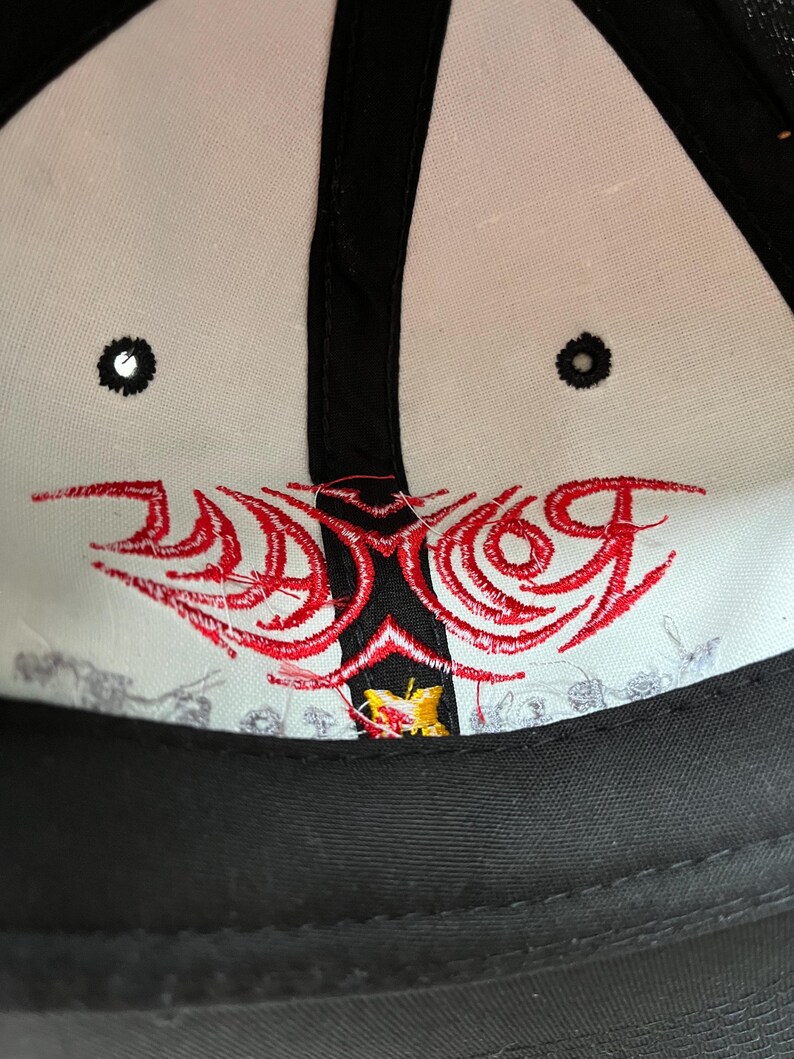 MTV Dennis Rodman World Tour Top of the World One Size Fits All Youngan ...
