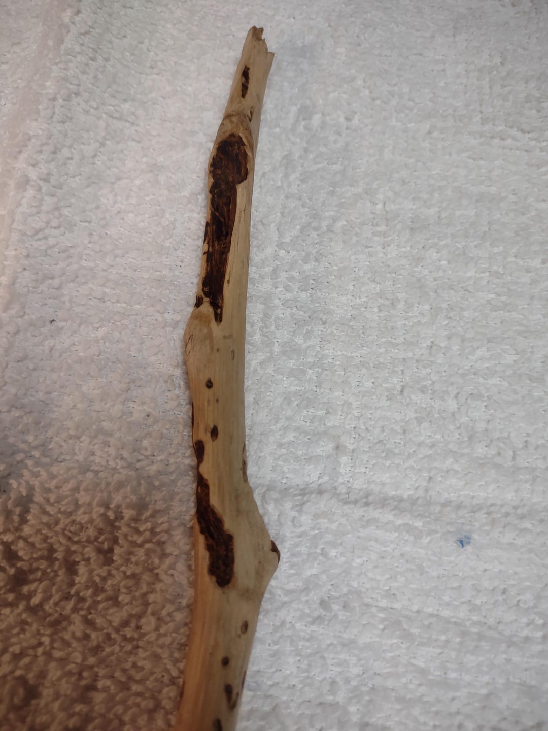 Driftwood Wand - Burnt Scars - Etsy