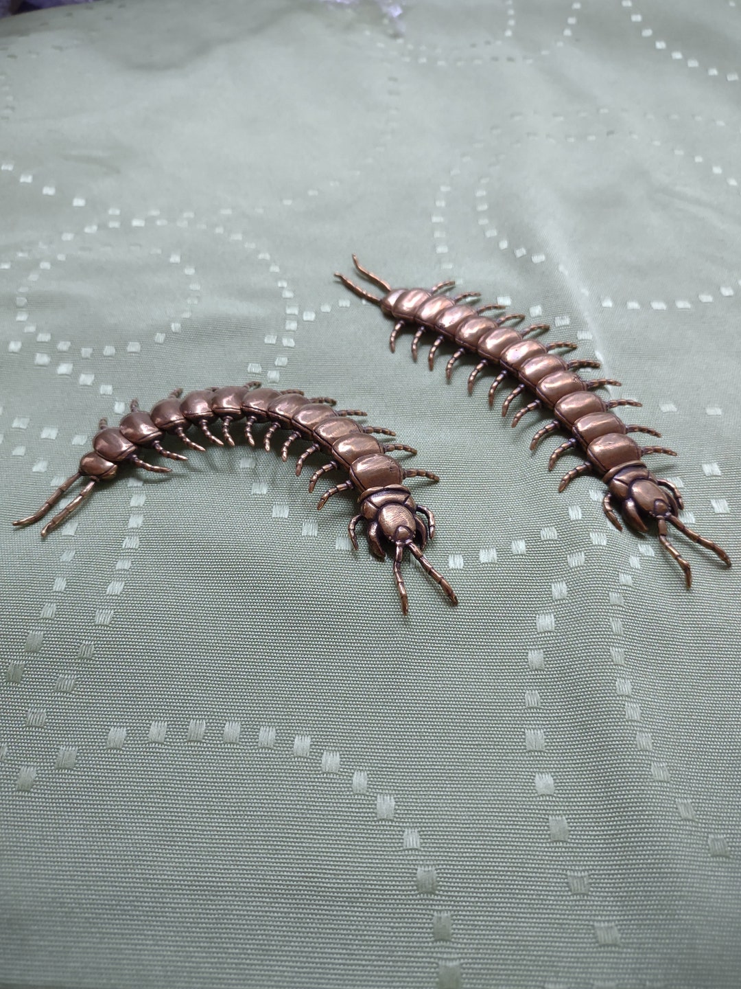 Familiar Centipede Spirit House / Trap - 1 Centipede - Etsy