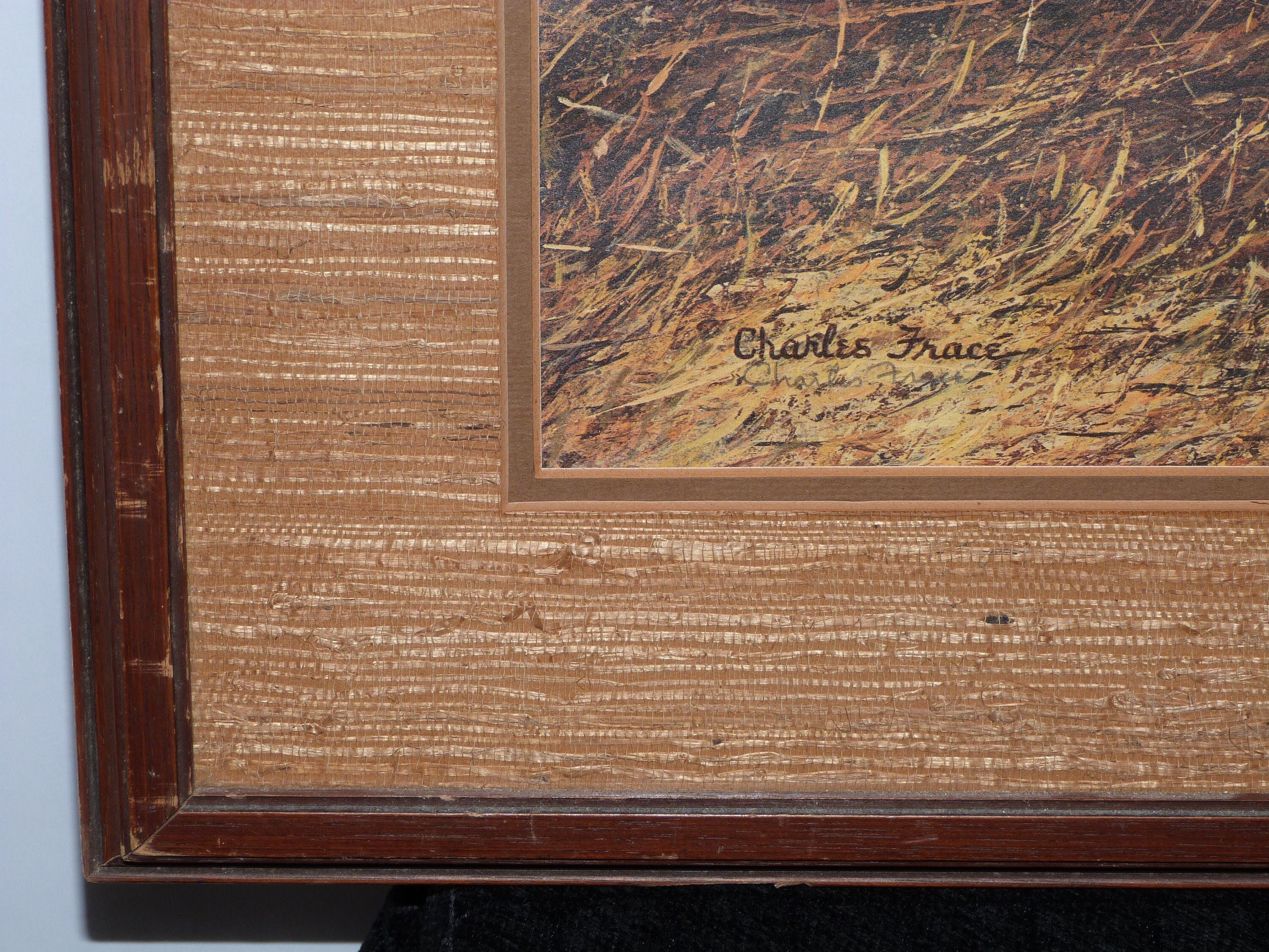 Charles Frace Tiger Cub Signed Only Edition in Frame Lithograph - Etsy