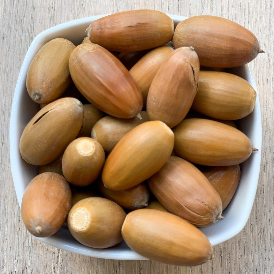 25 Dried Acorns, Natural, Organic, Biodegradable, Craft, Home ...