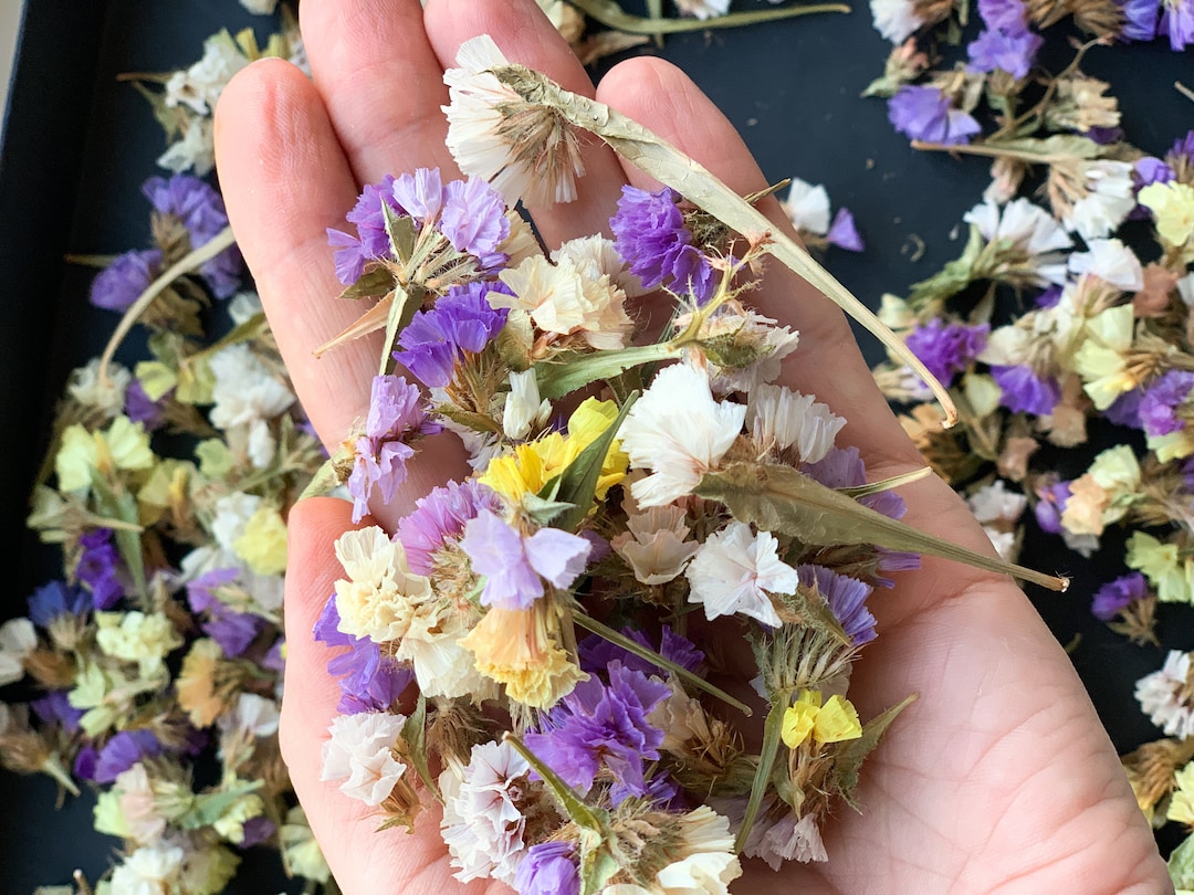 1 LITER Dried Limonium Flowers for Resin, Florist Supply, Dried Flowers ...