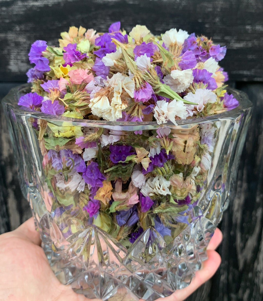 Tiny Multicolor Mini Flowers, Flower Confetti, Mixed Colorful Limonium ...
