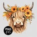 Highland Cow Png, Autumn Flowers Png, Fall Png, Fall Leaves Png, Cute ...