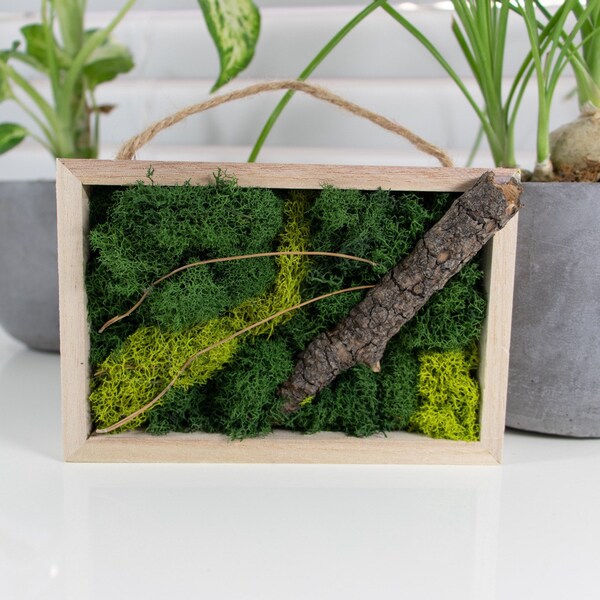 Moss Frame - Etsy