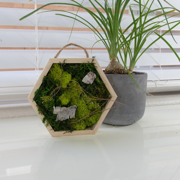 Moss Frame - Etsy