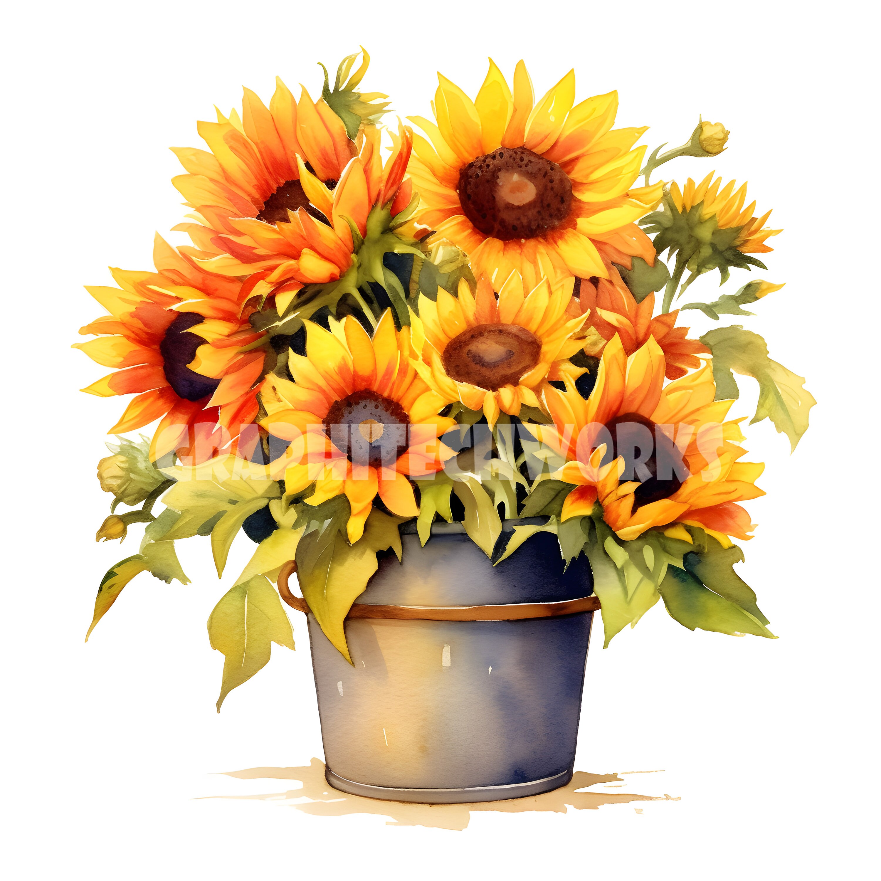 Sunflower in a Pot Clipart 12 Unique High Quality Jpgs - Etsy