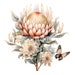 Protea Clipart 12 Unique High Quality Jpgs Digital - Etsy