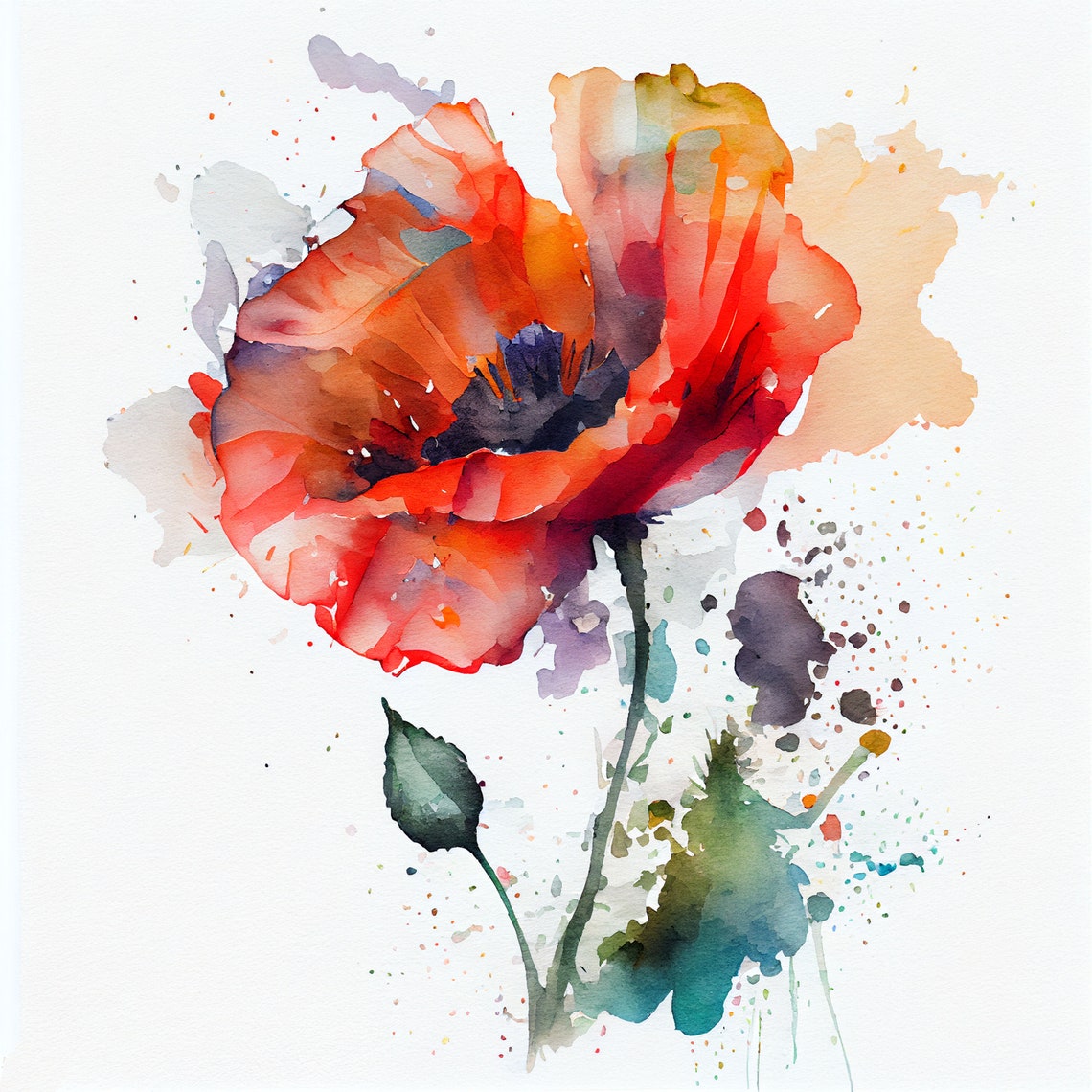Poppy Clipart - 12 Unique High Quality Jpgs - Digital Download - Card ...