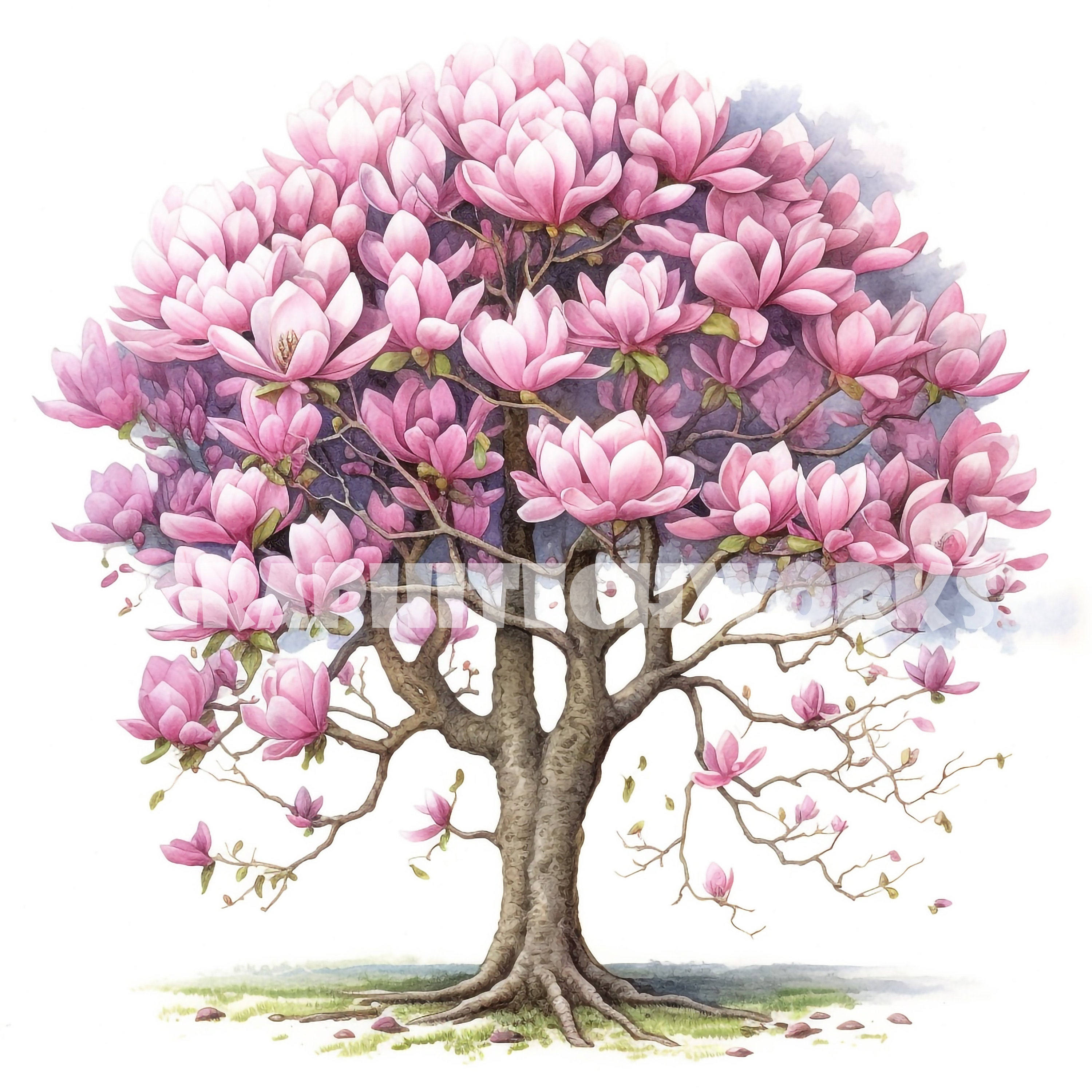 Magnolia Tree Clipart - 12 Unique High Quality Jpgs - Digital Download ...