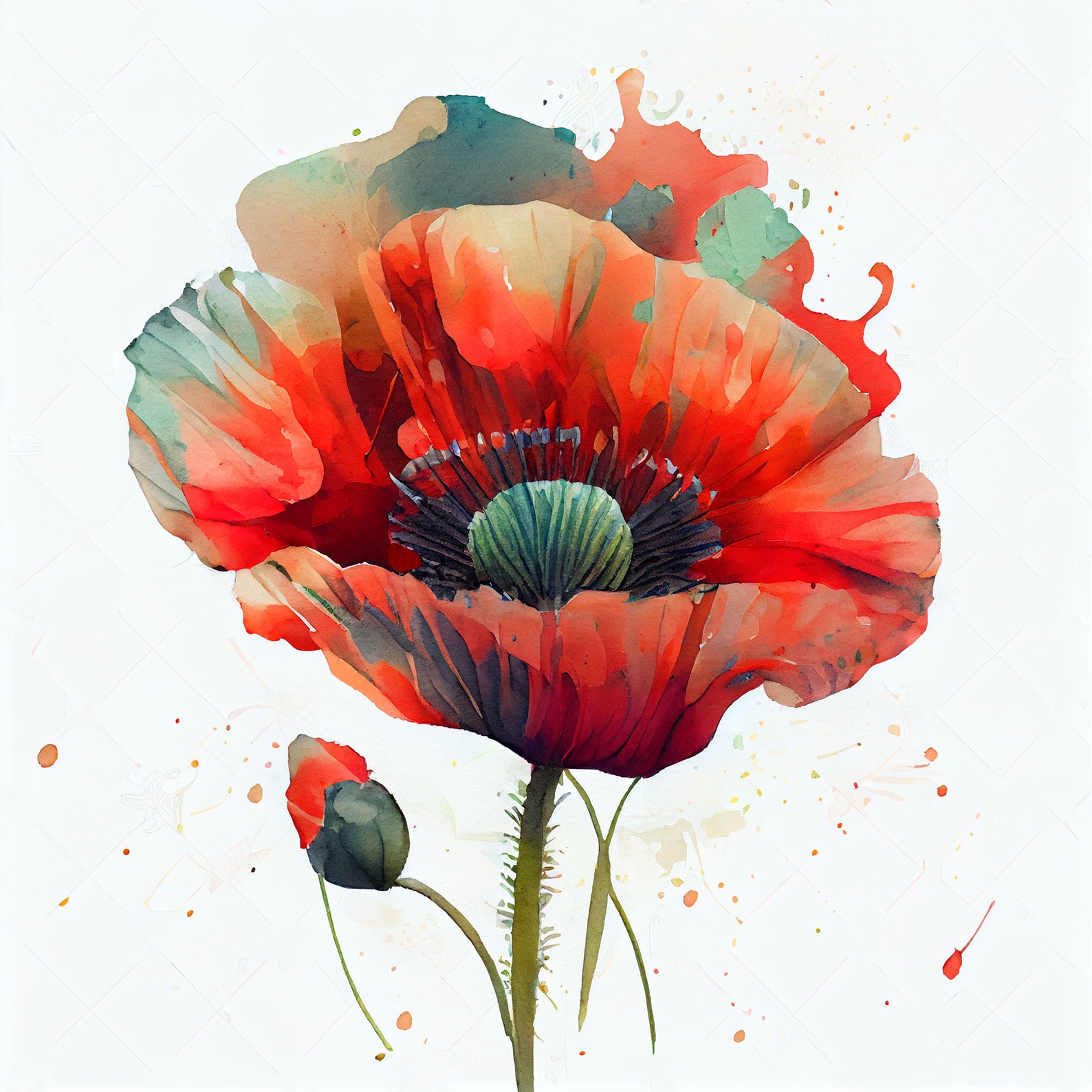 Poppy Clipart 12 Unique High Quality Jpgs Digital Download - Etsy