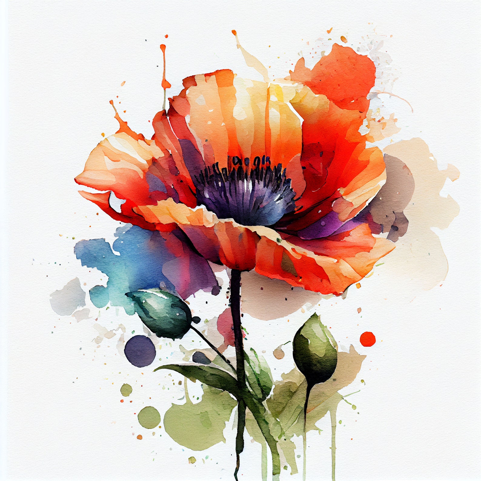 Poppy Clipart 12 Unique High Quality Jpgs Digital Download - Etsy