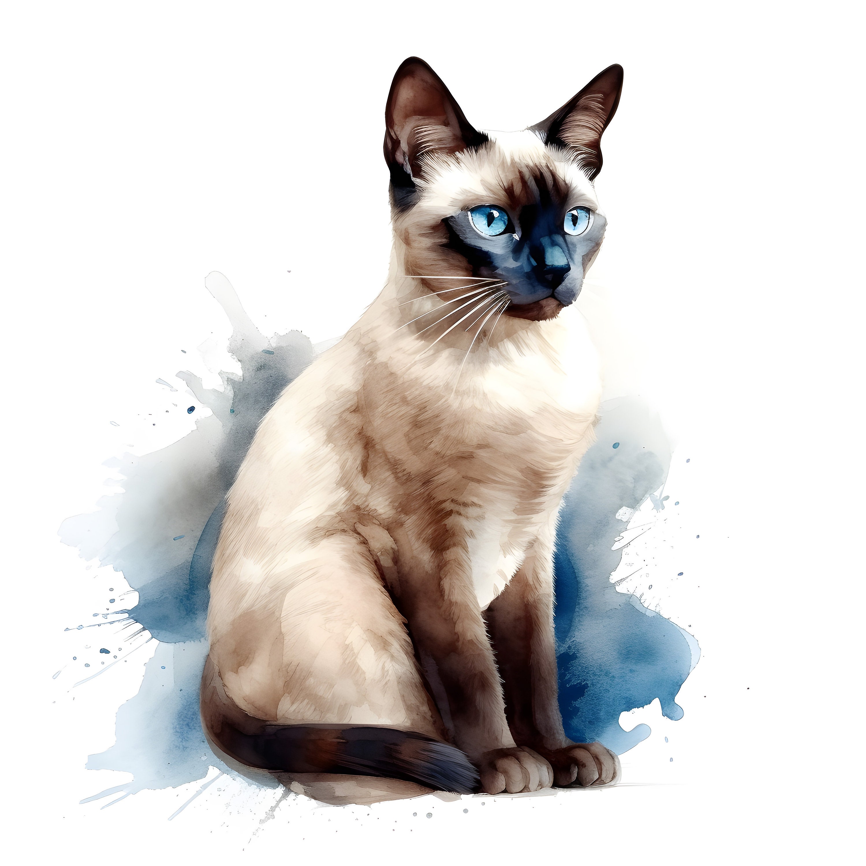 Siamese Clipart 15 Unique High Quality Jpgs Digital Download Card ...