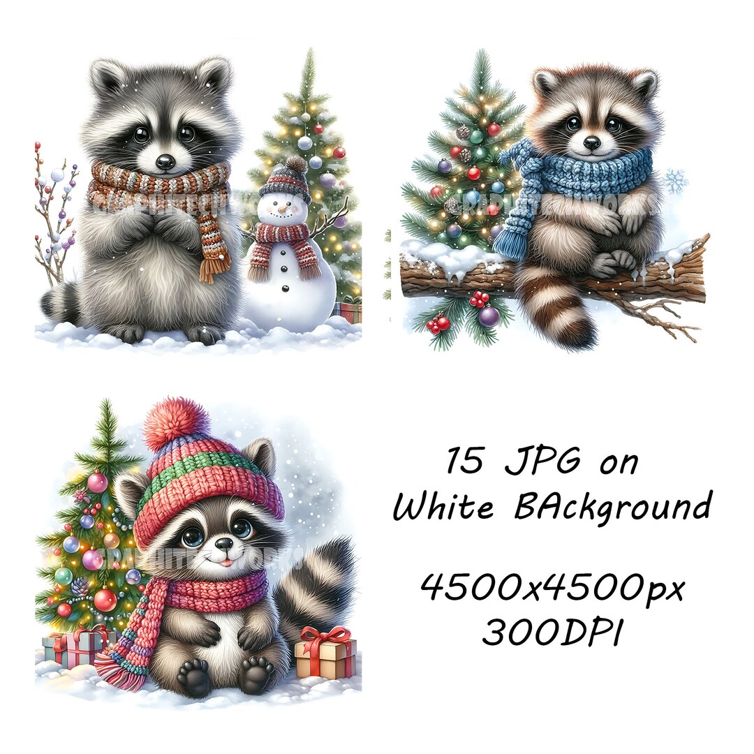 Raccoon Clipart,baby Raccoon Clip Art,christmas Clipart,high Quality 15 ...