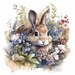 Winter Bunny Clipart 12 High Quality Jpgs,digital Download,card Making ...