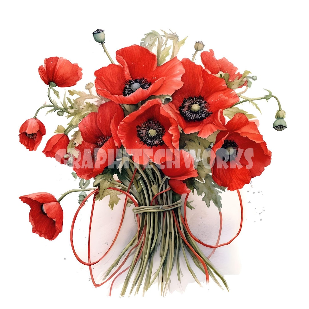 Red Poppy Clipart - 12 High Quality JPG - Digital Download - Card ...