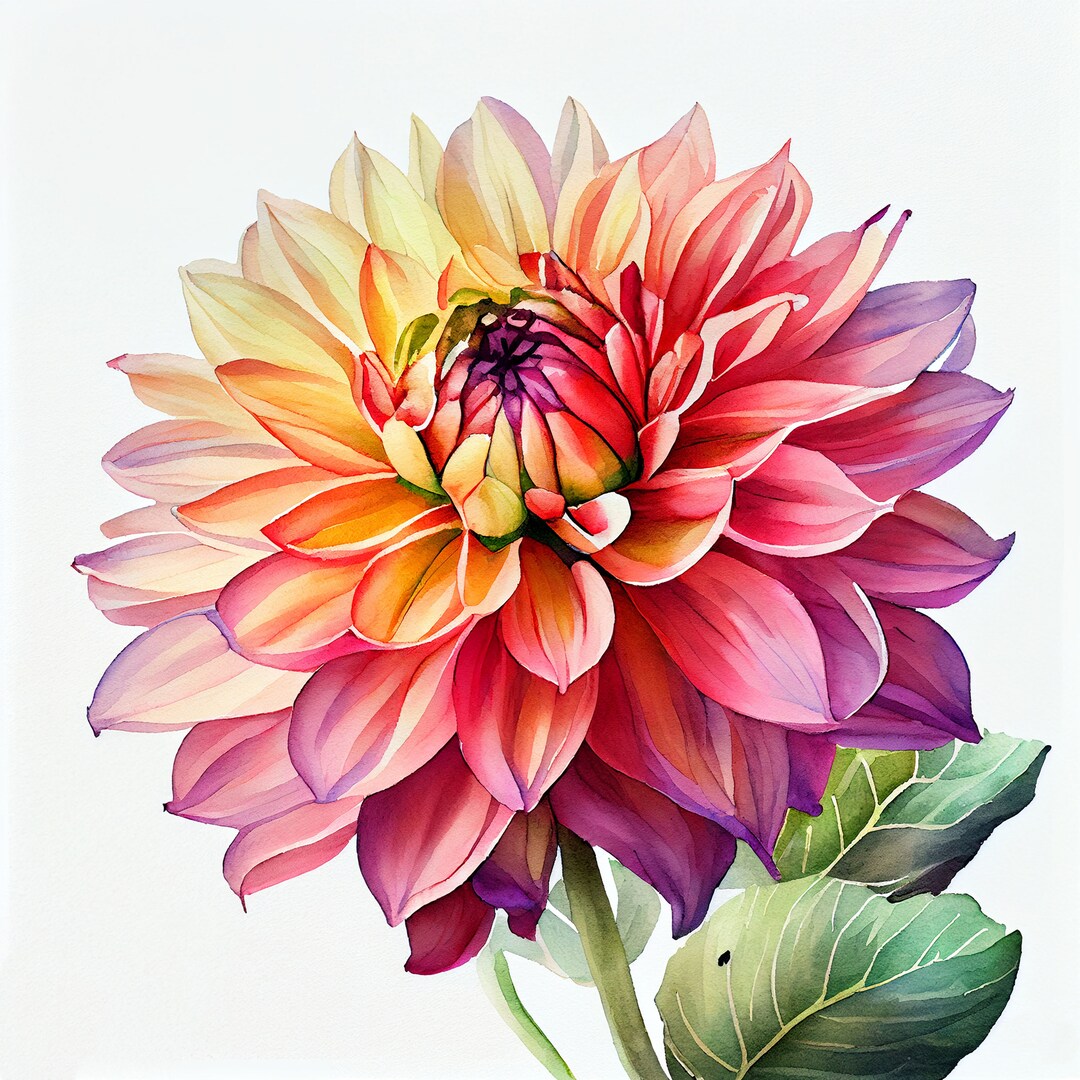Dahlia Clipart - 12 Unique High Quality Jpgs - Digital Download - Card ...