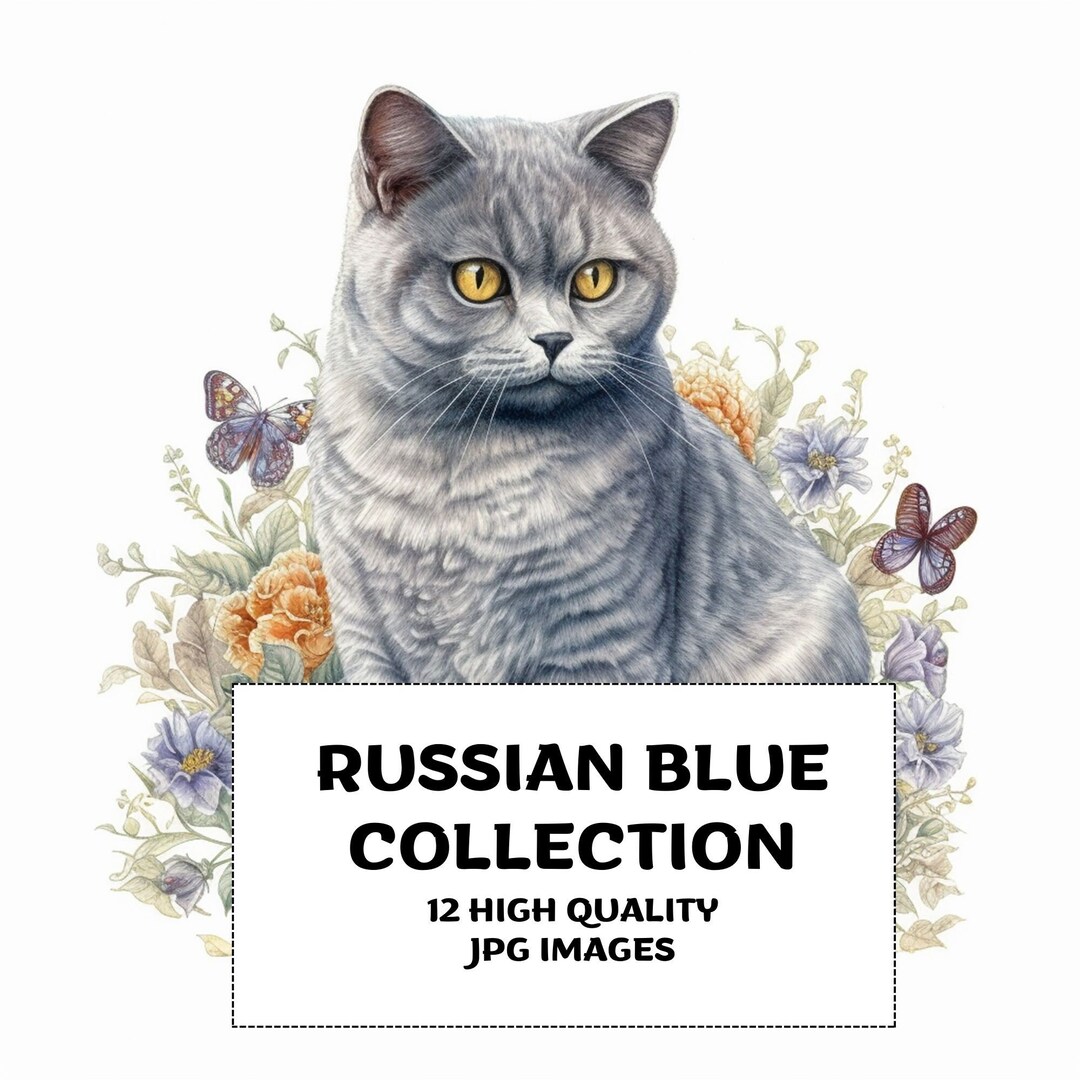 Cat Clipart - 12 High Quality JPG - Digital Download - Card Making ...