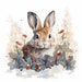 Winter Bunny Clipart 12 High Quality Jpgs,digital Download,card Making ...