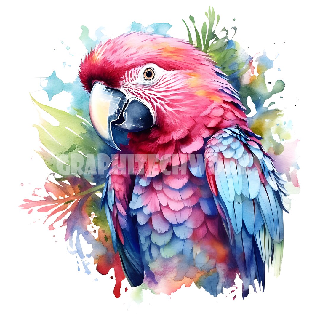 Parrot Watercolor Digital File Instant Download Printable Wall Decor ...