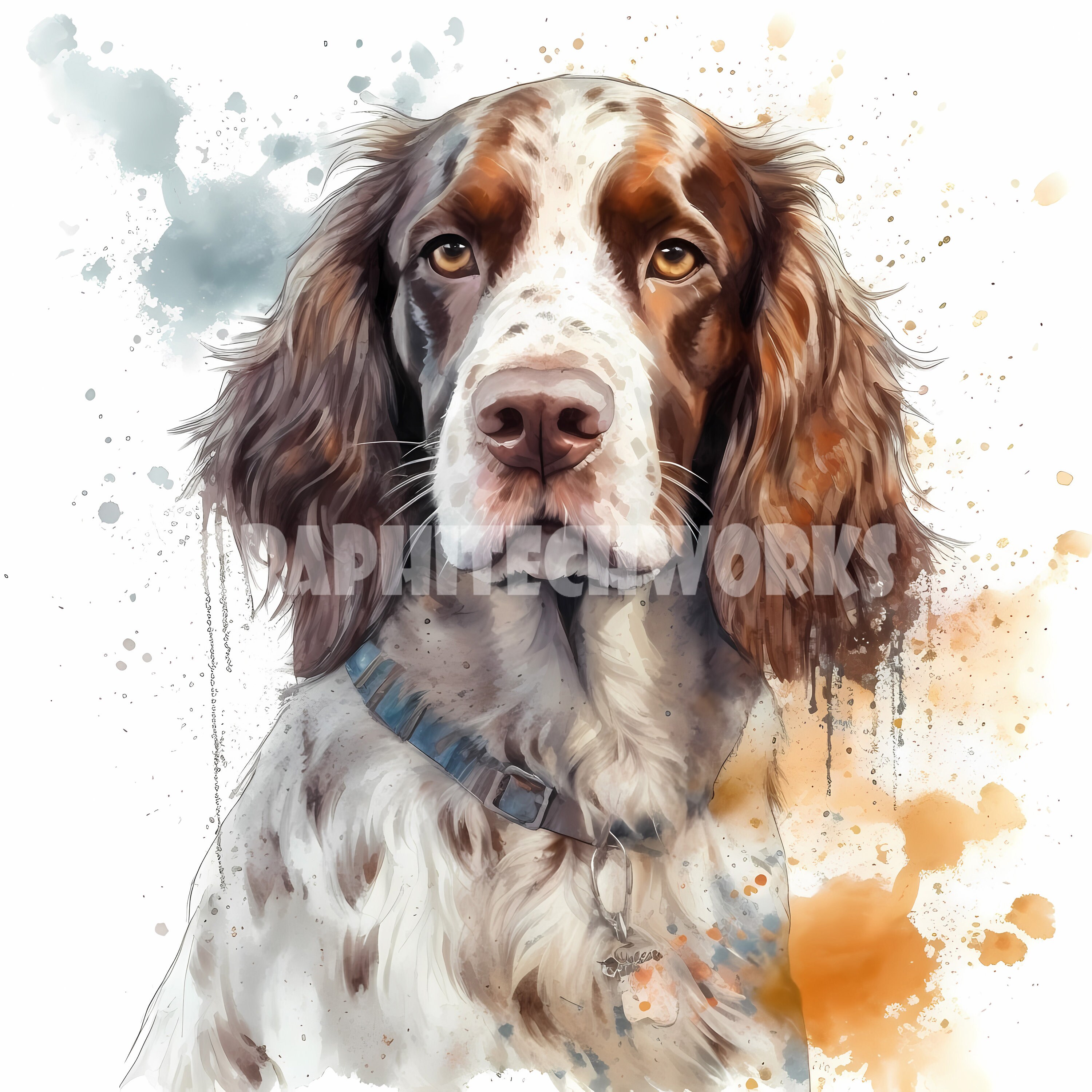 English Springer Spaniel Clipart 12 High Quality JPG Digital Download ...