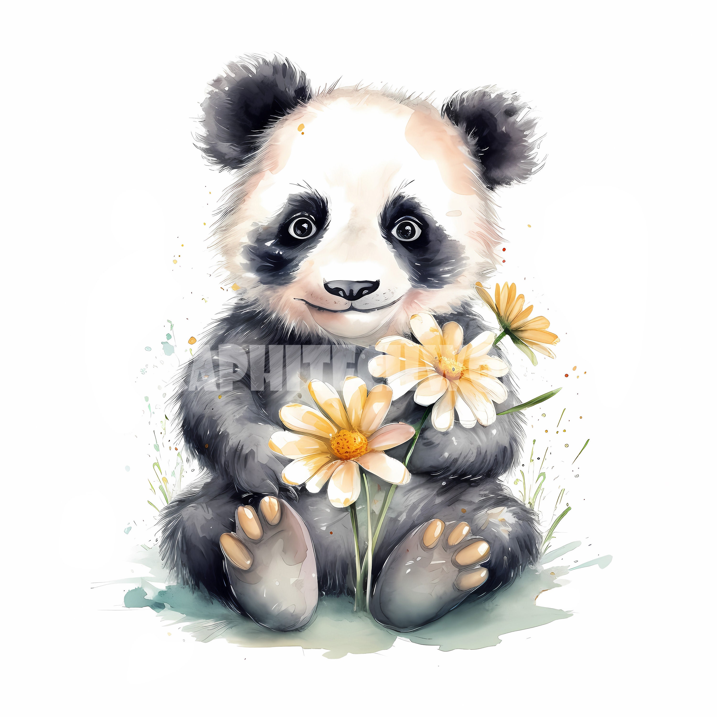 Panda Bear Clipart 12 Unique High Quality Jpgs Digital - Etsy