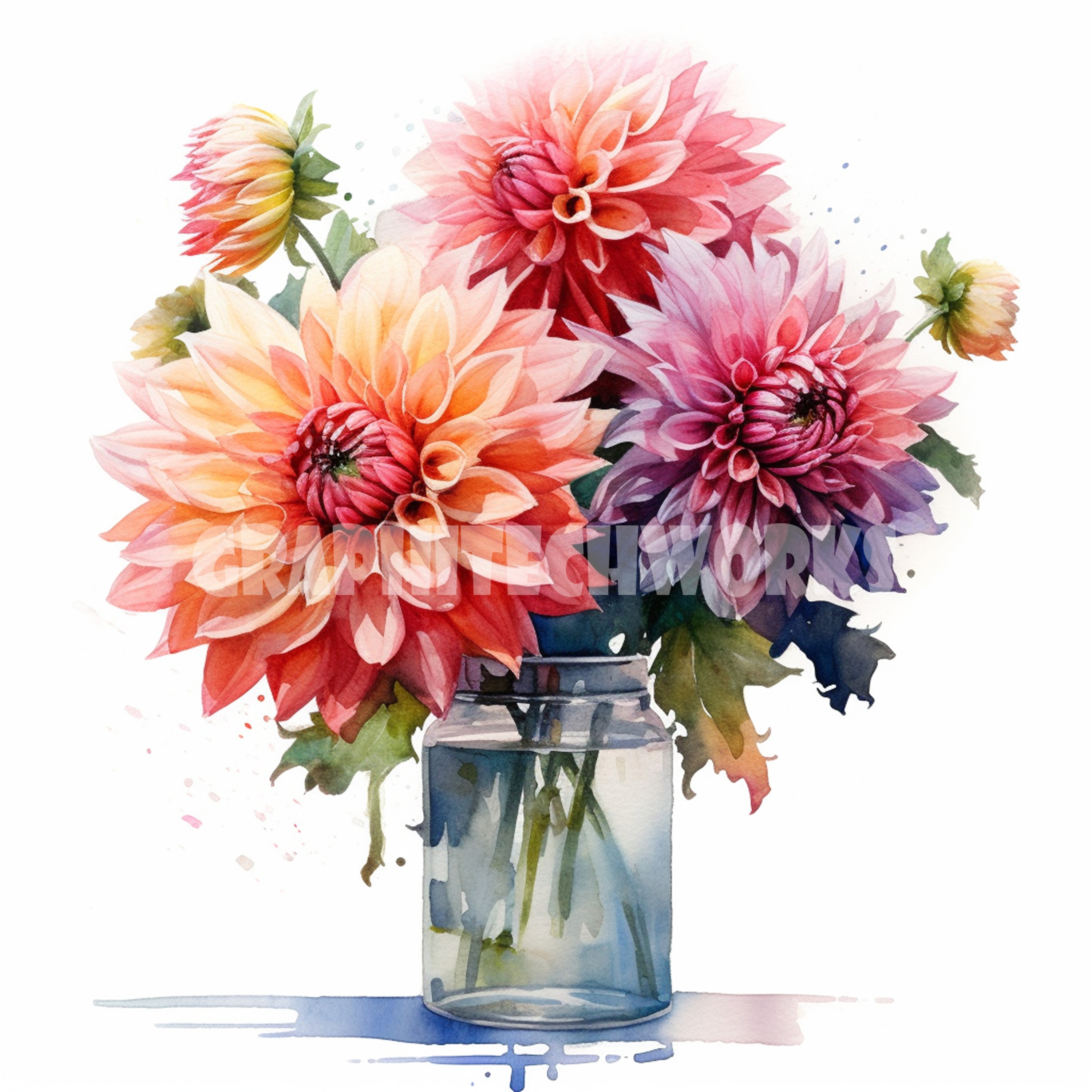 Dahlia Clipart Set 02 12 Unique High Quality Jpgs Digital Download Card ...