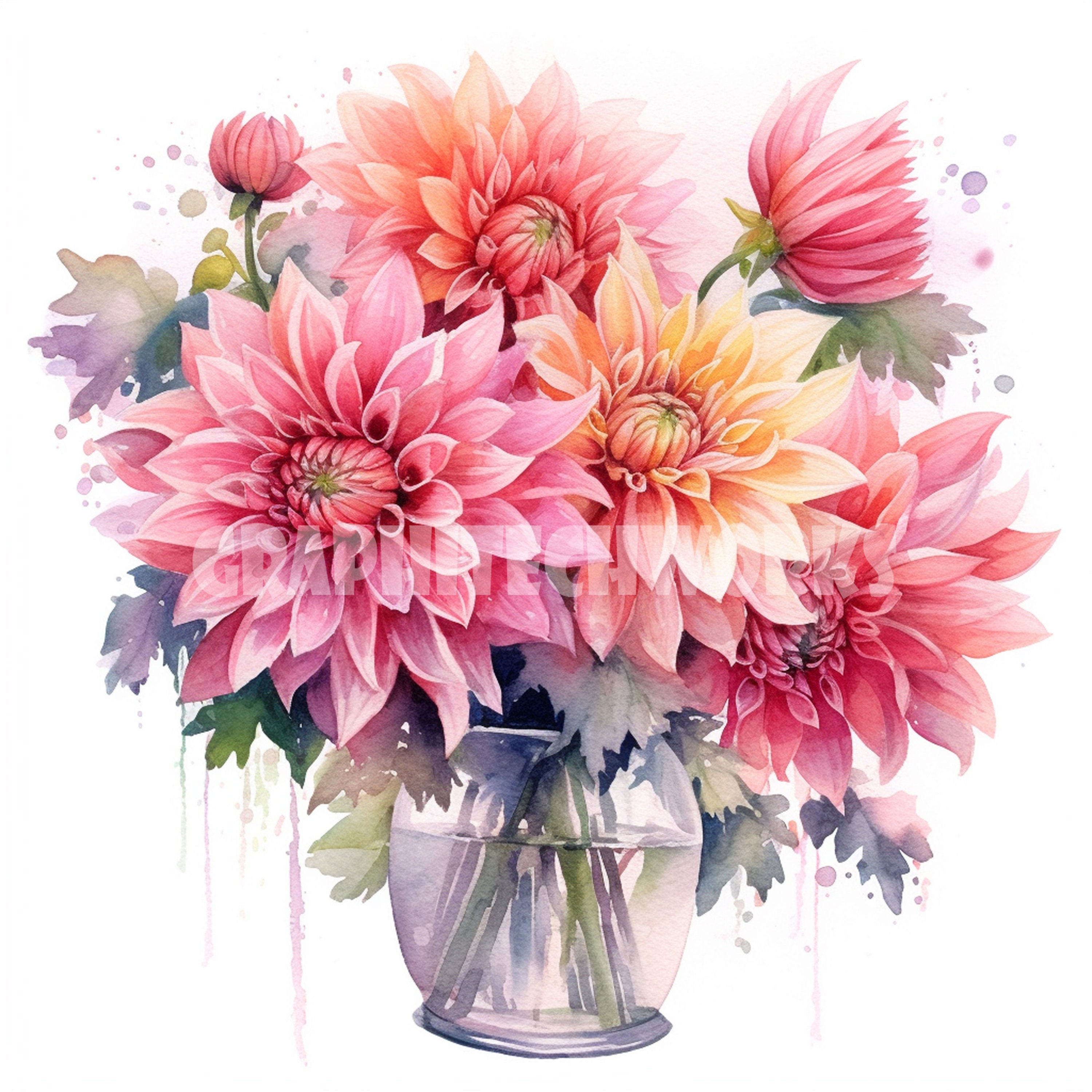 Dahlia Clipart Set 02 12 Unique High Quality Jpgs Digital Download Card ...