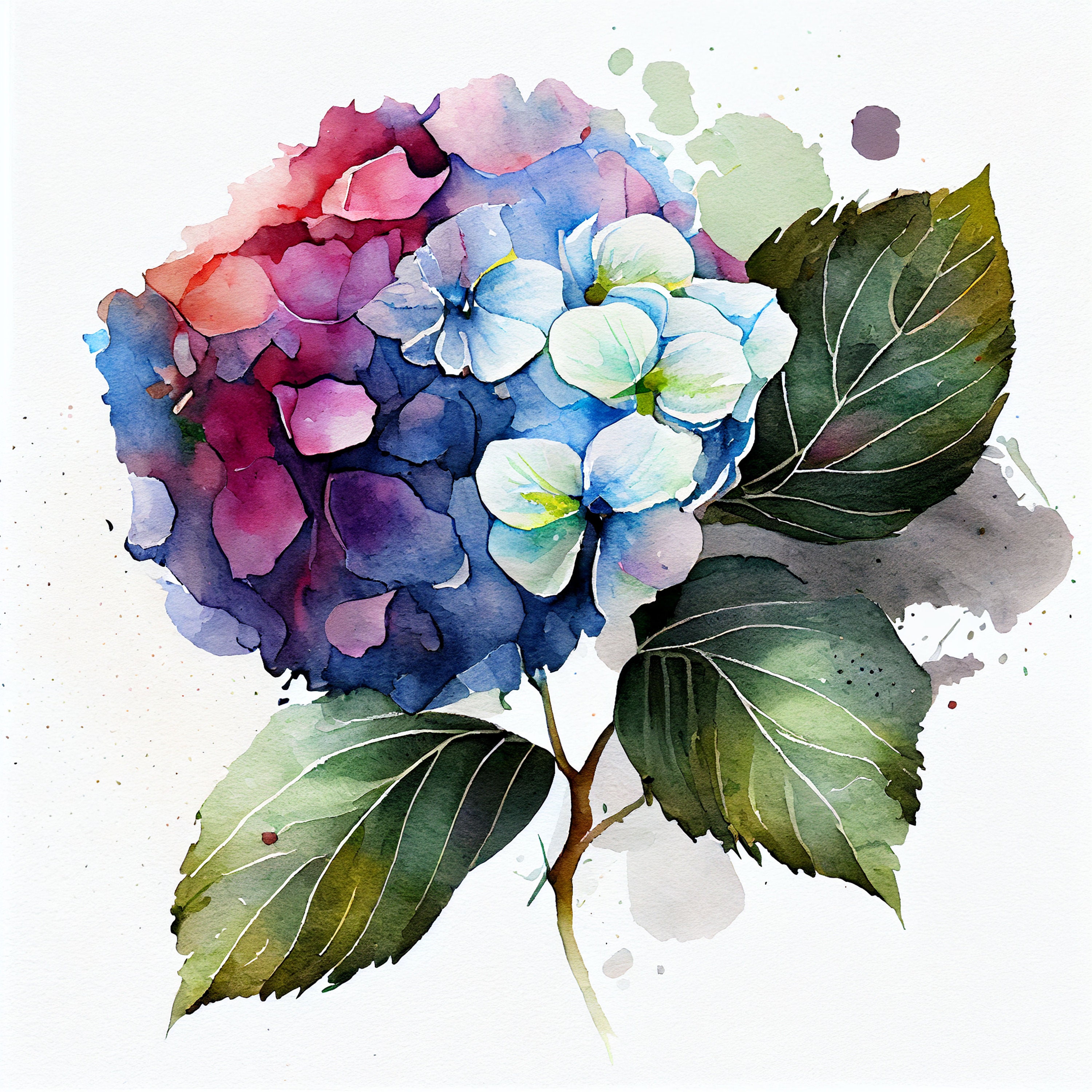 Hydrangea Clipart 12 Unique High Quality Jpgs Digital - Etsy