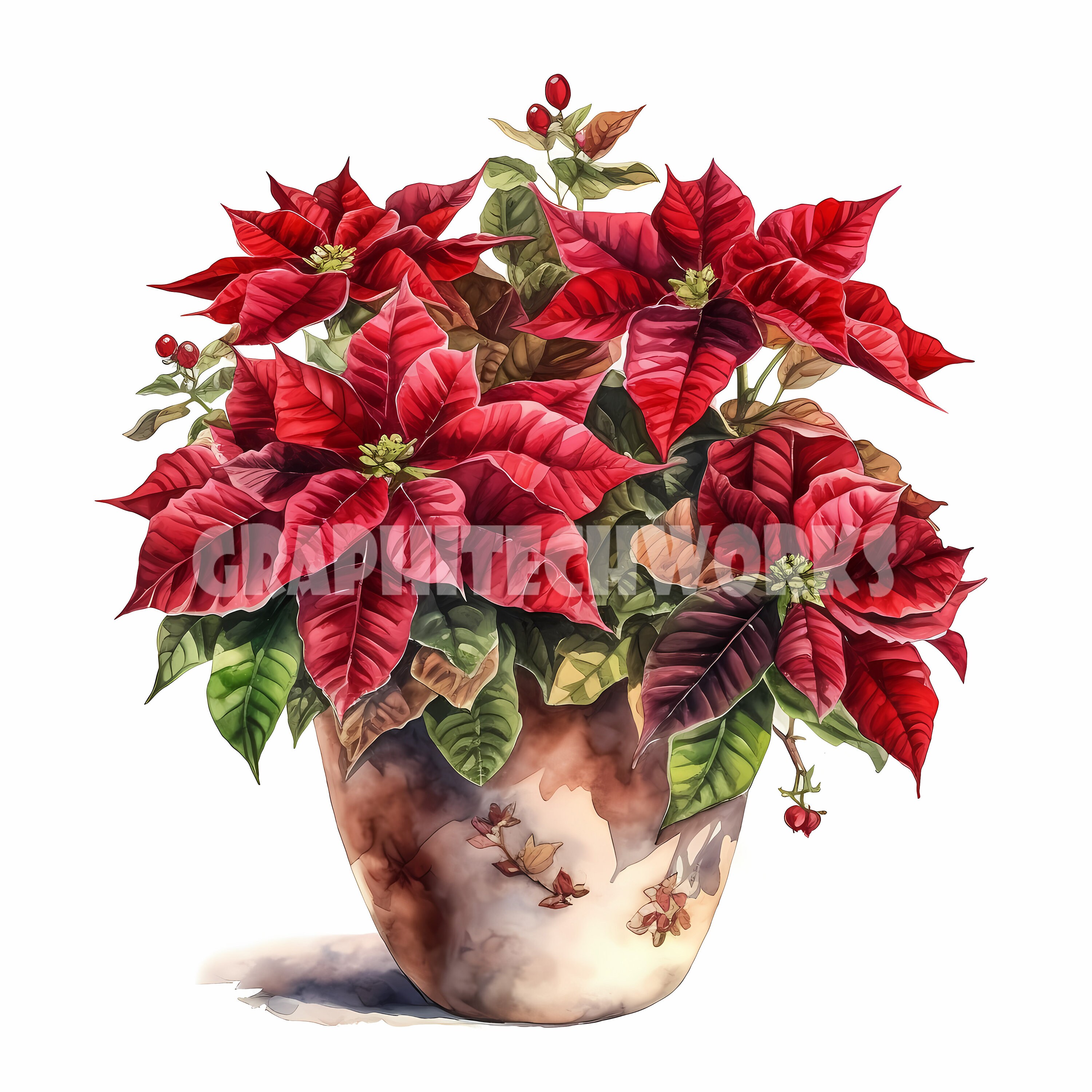 Poinsettia Clipart 12 Unique High Quality Jpgs Digital - Etsy