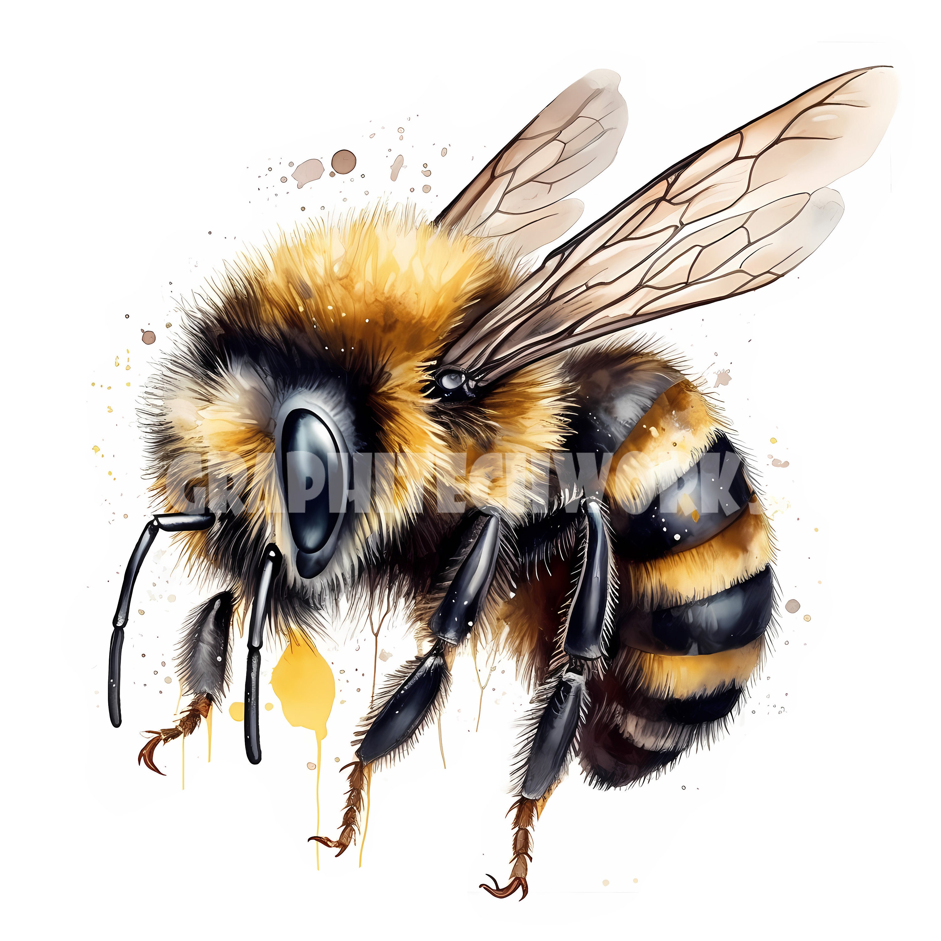 Bumble Bee Clipart - 12 High Quality JPG - Digital Download - Card ...
