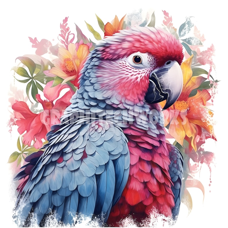 Parrot Watercolor Digital File Instant Download Printable Wall - Etsy