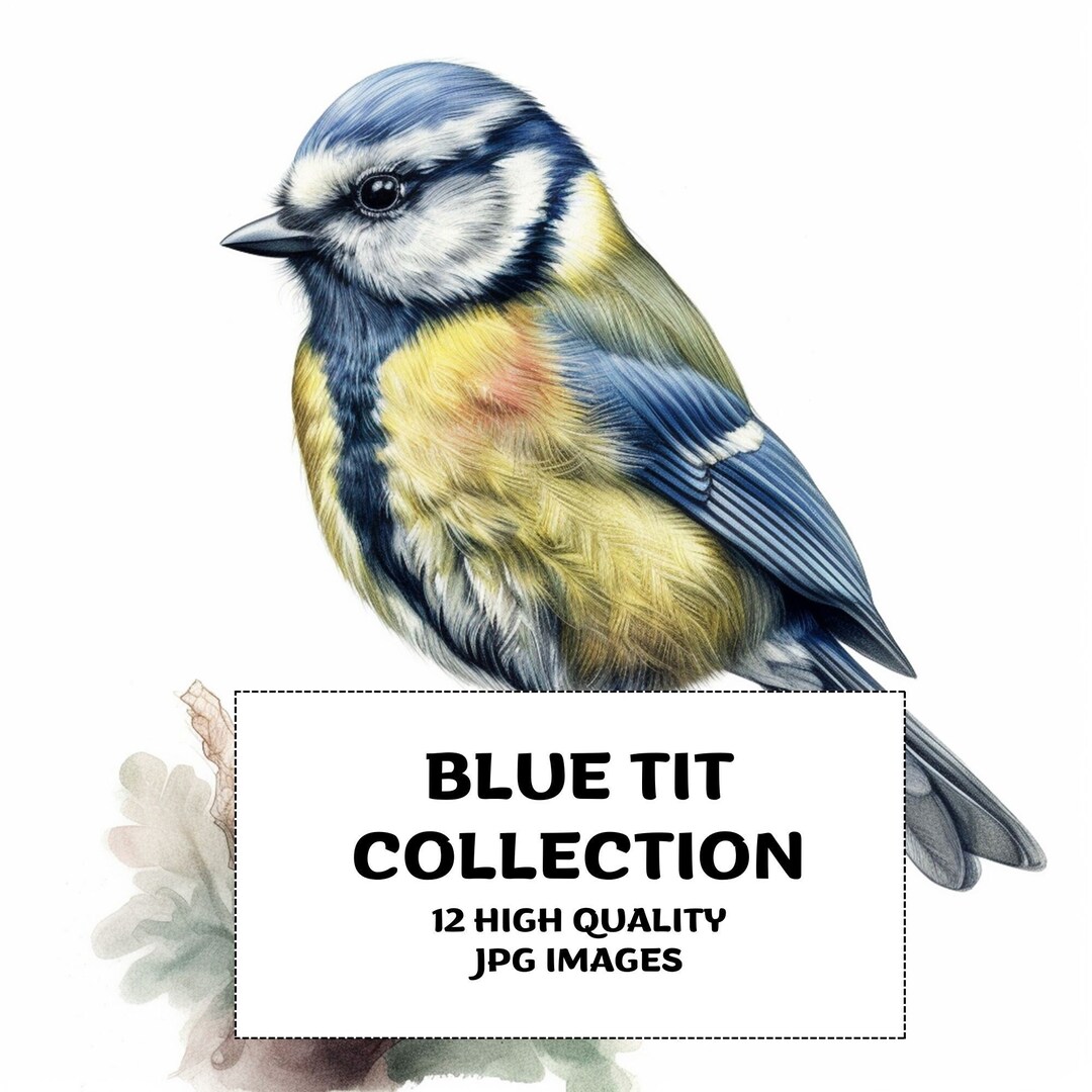 Blue Tit Clipart 12 High Quality JPG Digital Download Card Making ...