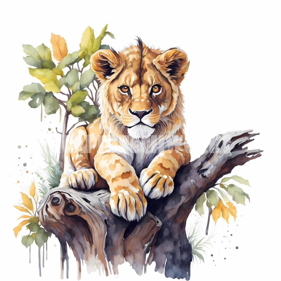 Lion Clipart - 12 Unique High Quality Jpgs - Digital Download - Card ...