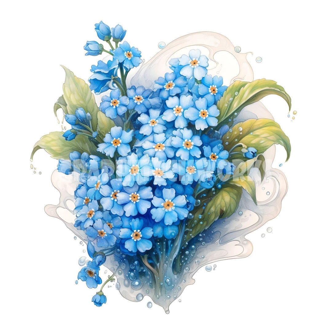 Forget Me Not Clipart - 12 Unique High Quality Jpgs - Digital Download ...