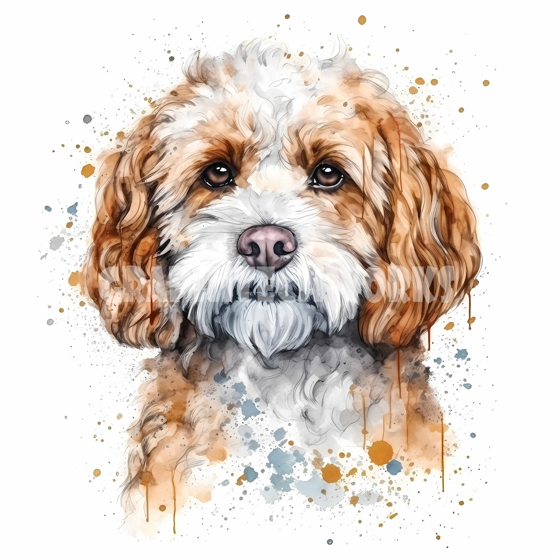 Cavoodle Clipart 12 High Quality JPG Digital Download Card Making ...