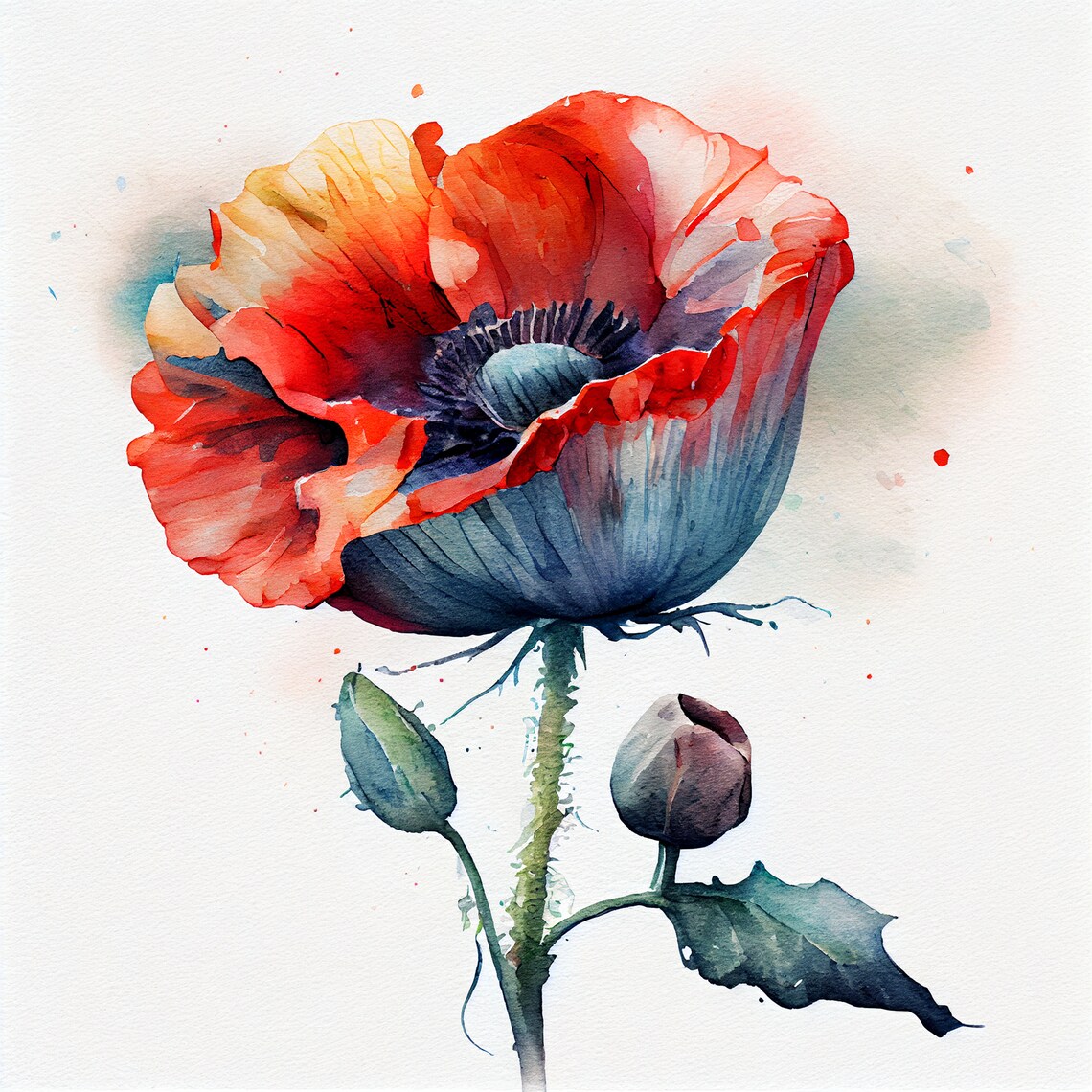 Poppy Clipart - 12 Unique High Quality Jpgs - Digital Download - Card ...