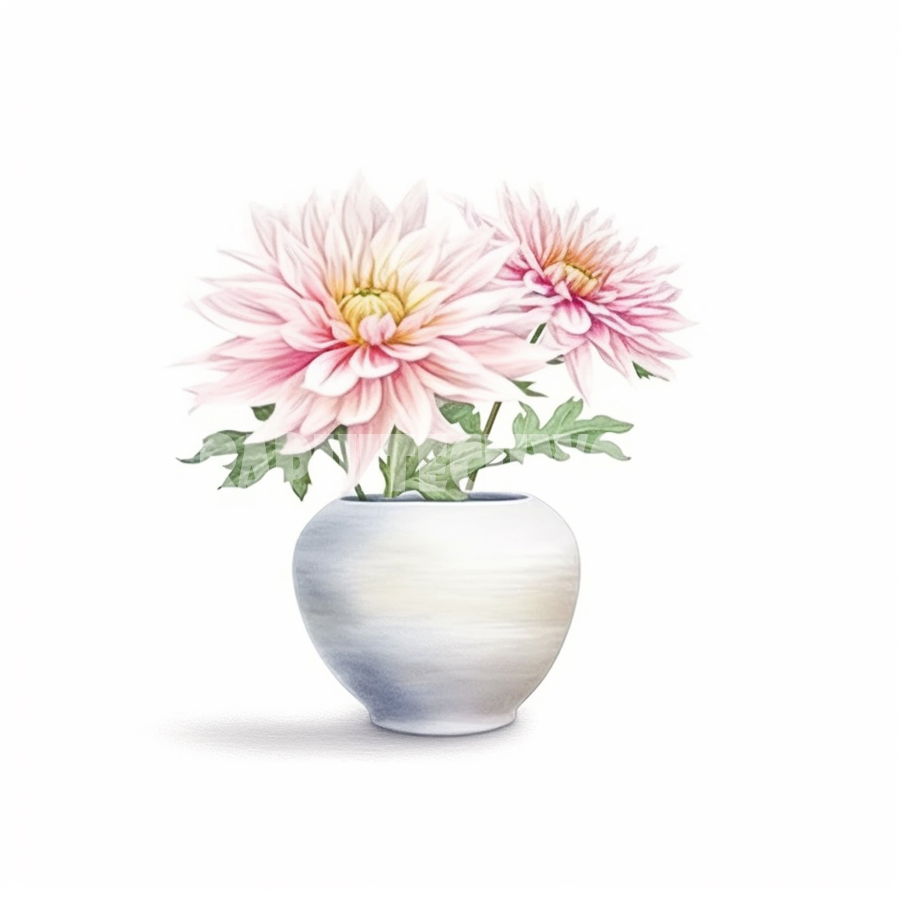 Dahlia in Vase Clipart 12 Unique High Quality Jpgs Digital - Etsy
