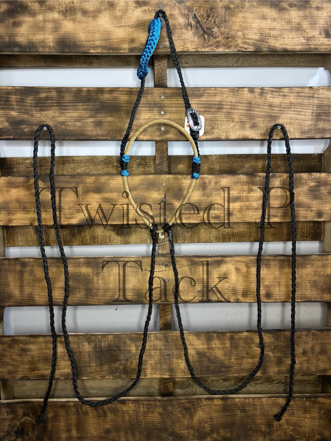 Black & Royal Blue Loping Hackamore - Etsy