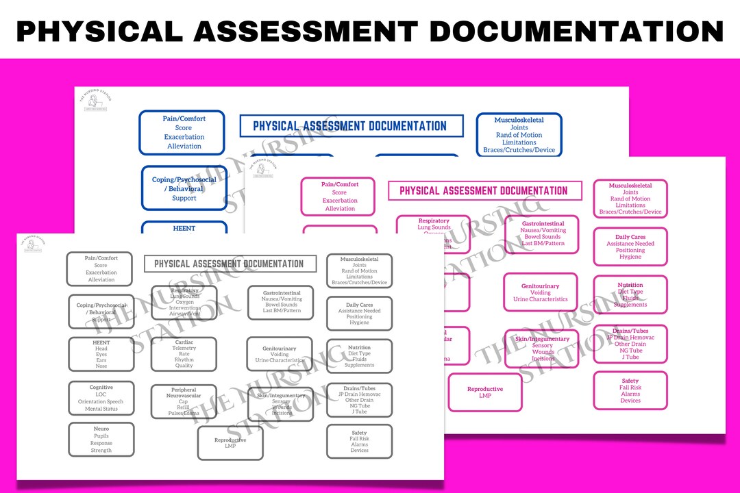 The Nursing Station Physical Assessment Documentation | Nursing ...