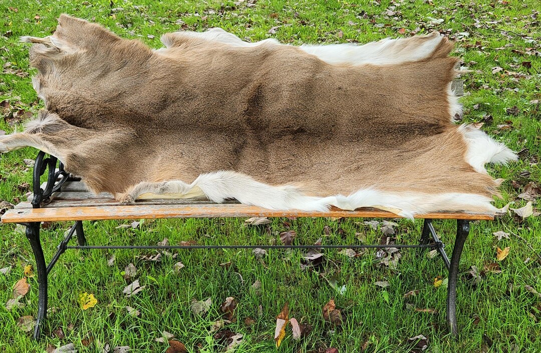 Large Real Tanned Whitetail Deer Hide fur On - Etsy