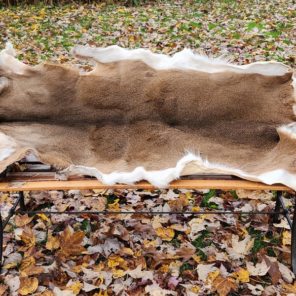 Deer Hide - Etsy