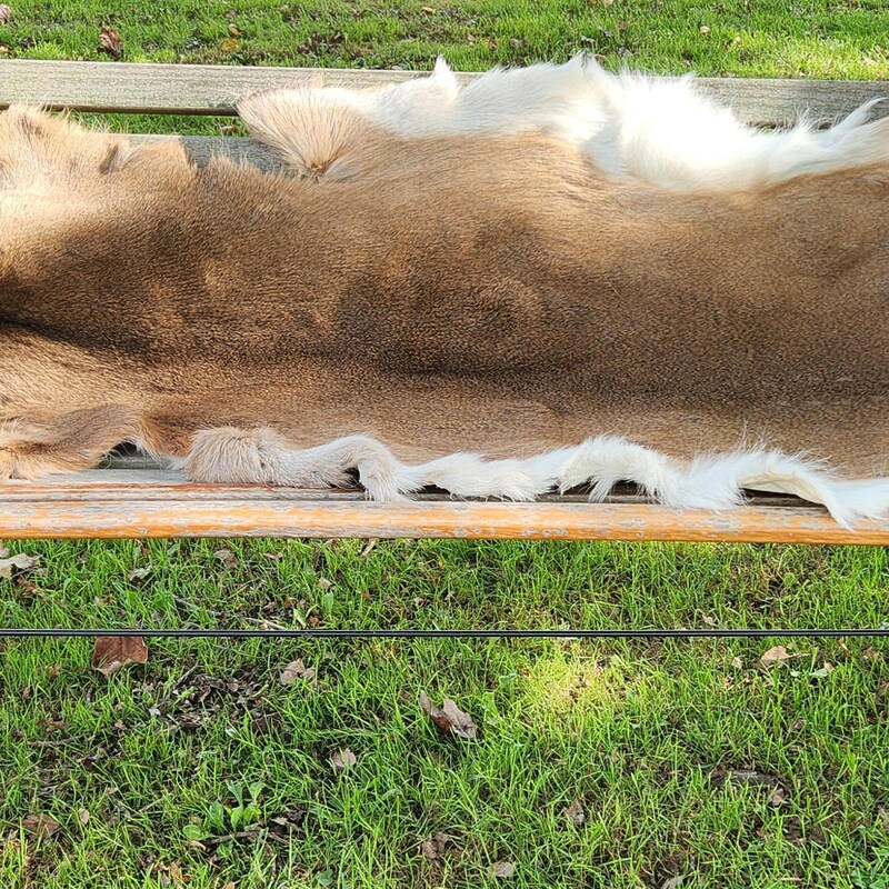 Deer Hide - Etsy