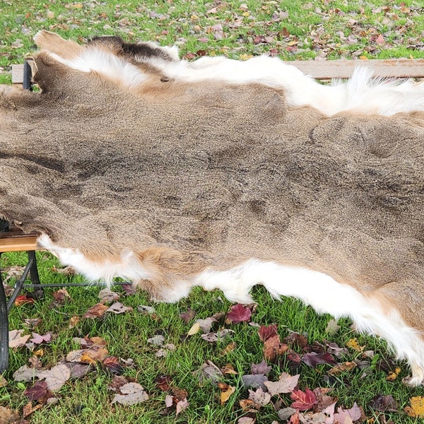 Deer Hide - Etsy